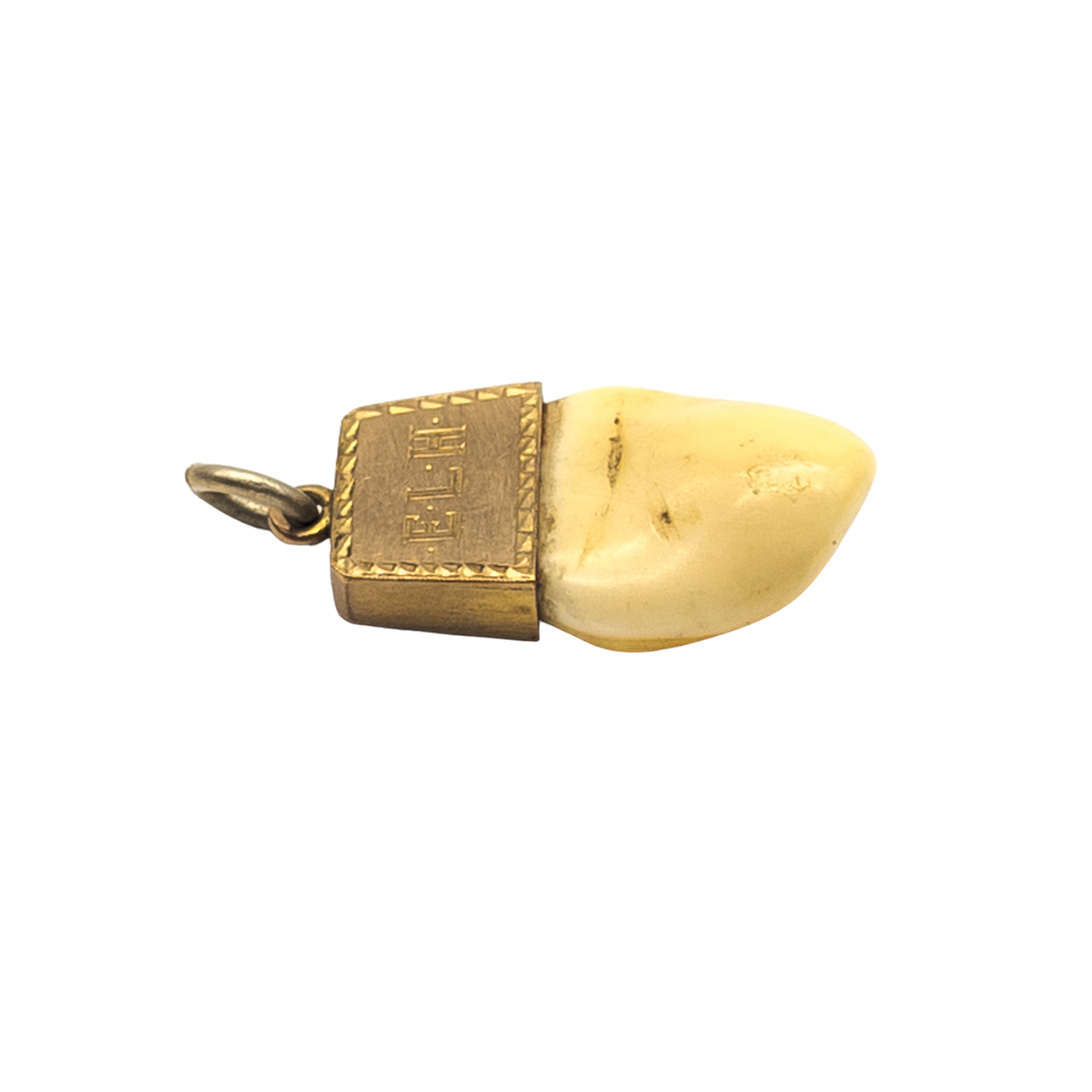 Antique Victorian Elk Tooth Pendant – Ballyhoo Curiosity Shop