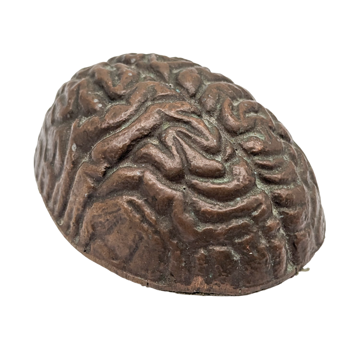 Vintage Copper Human Brain Paperweight – Ballyhoo Curiosity Shop