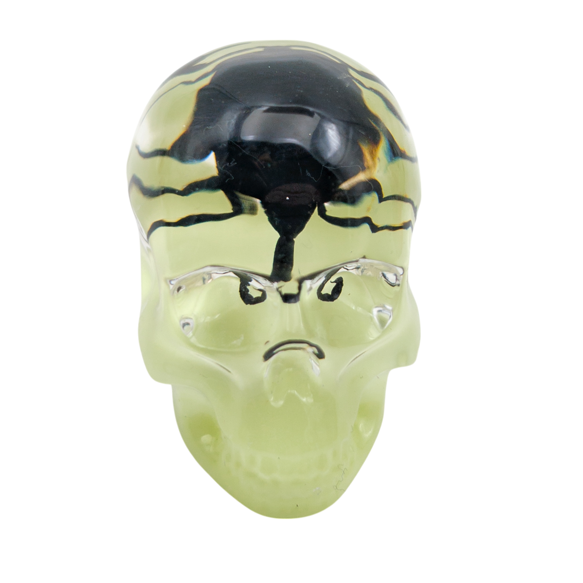 Real Specimen Resin Skull Fridge Magnet – Ballyhoo Curiosity Shop