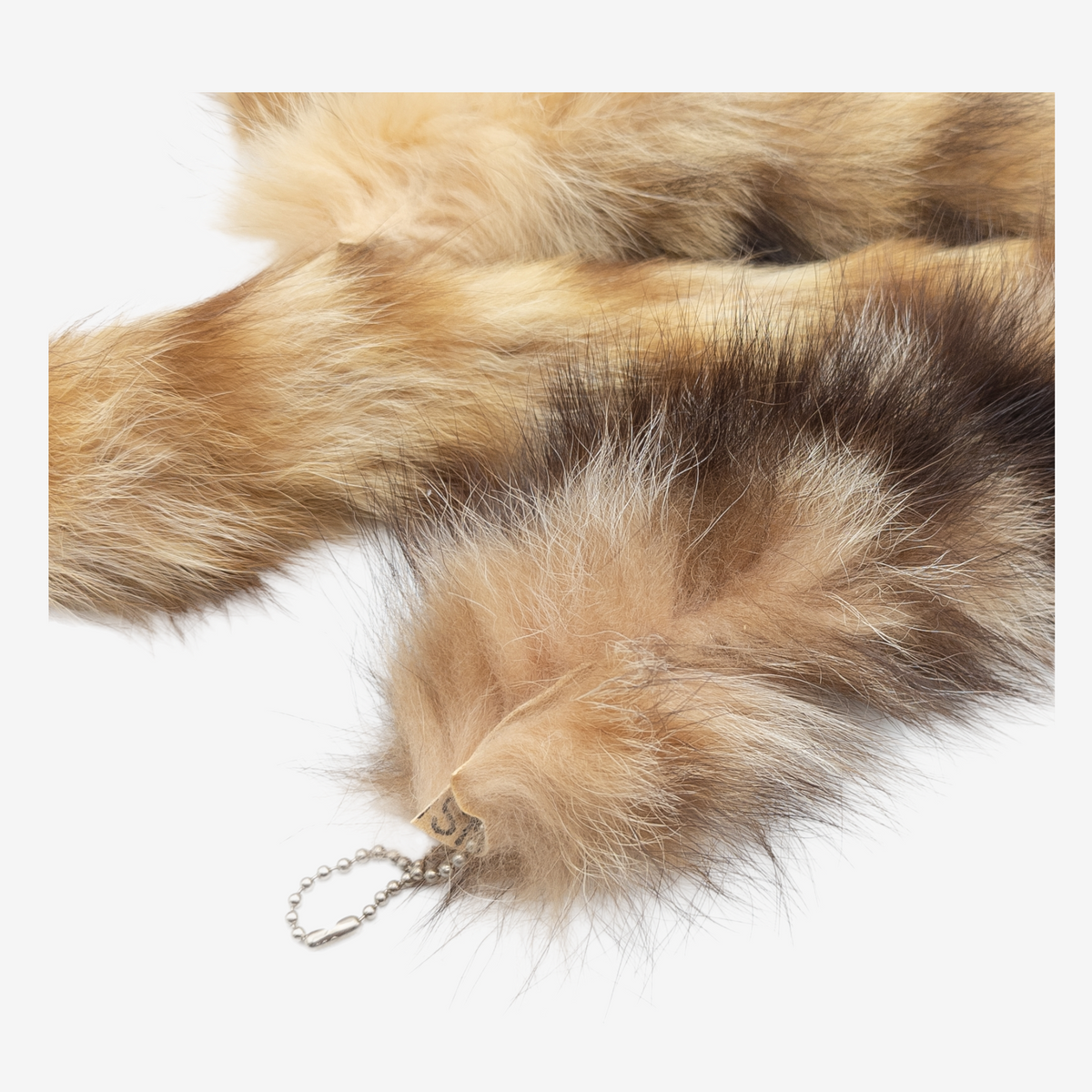 Tanned Raccoon Tail Keychains – Ballyhoo Curiosity Shop
